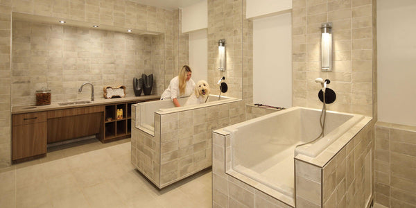 Tiled Pet Spa - Architessa