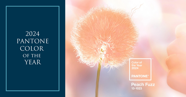 Get the Look: 2024 Pantone Color of the Year - Architessa