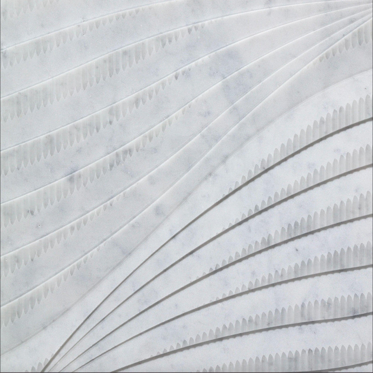 Carved - Architessa